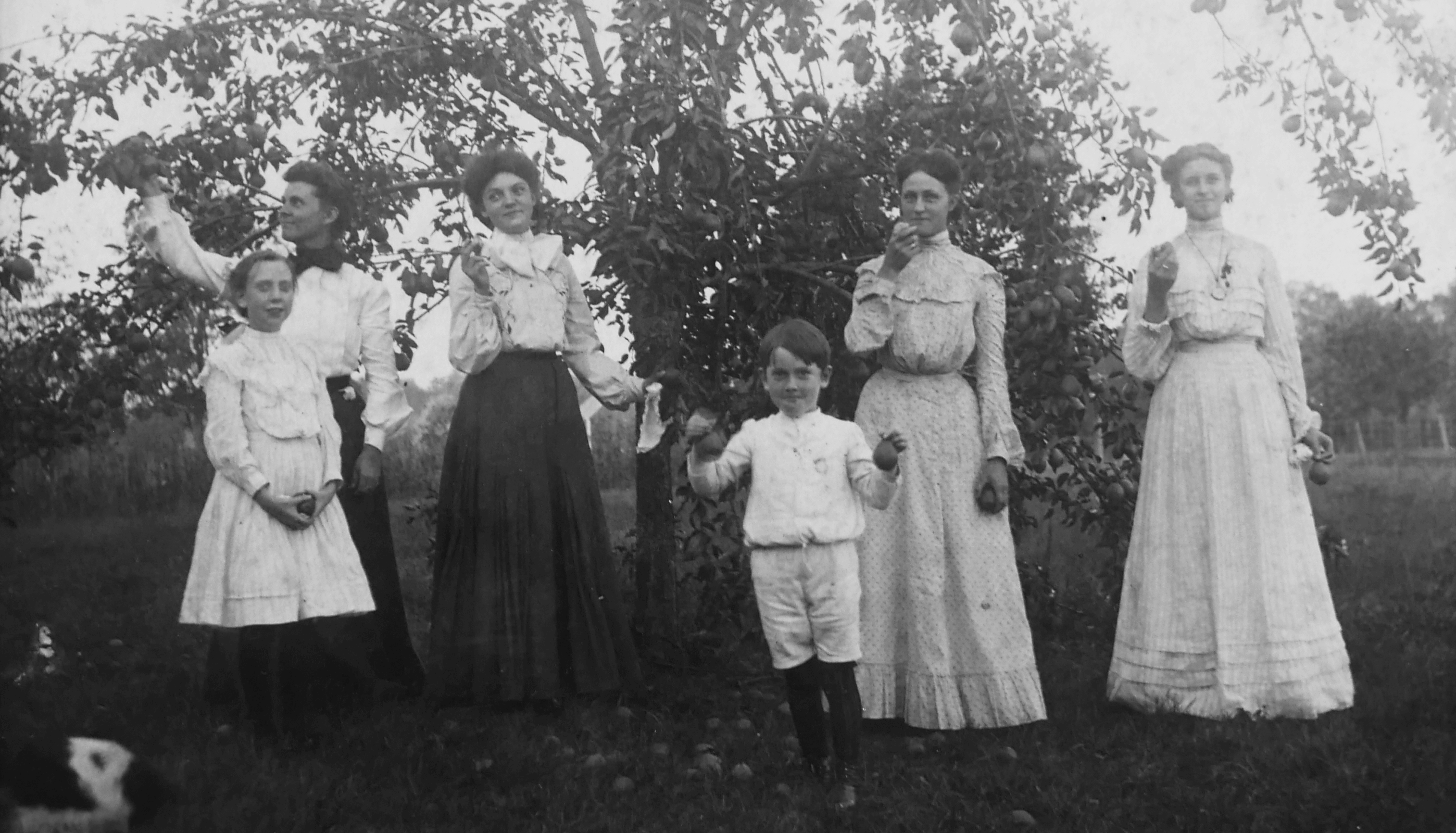 About the Blue River Quaker Settlement