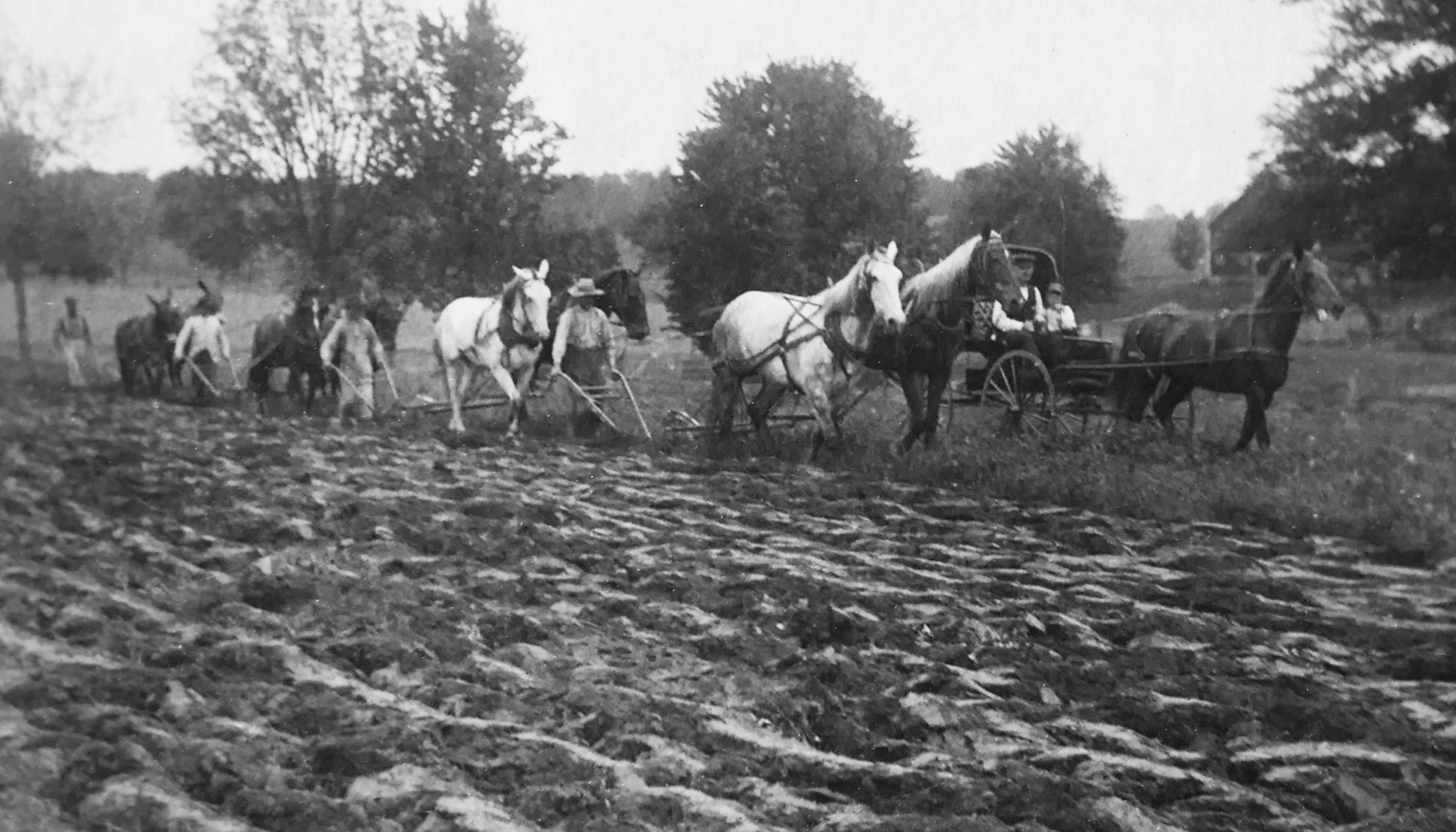 About the Blue River Quaker Settlement